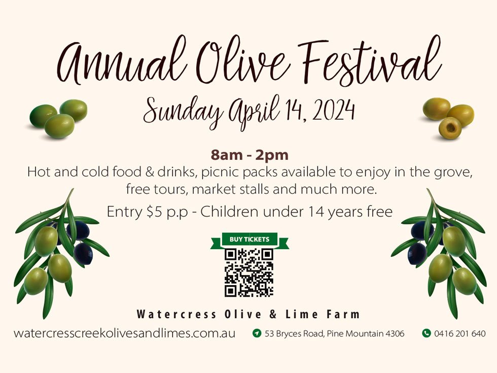 What's On in Ipswich: Your Definitive Guide to Ipswich Events